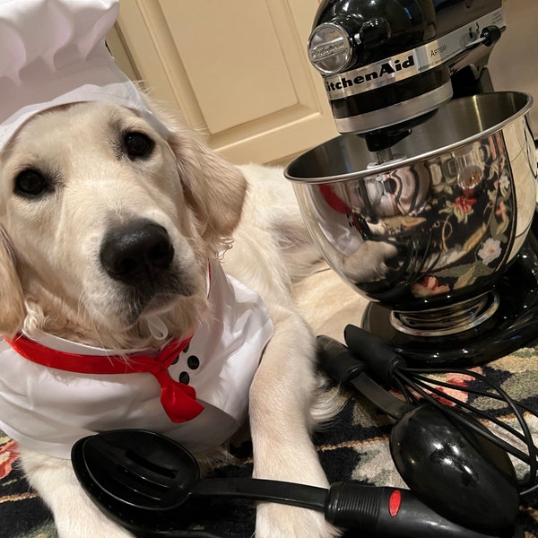 Halloween Chef Dog Cat Pet Costume, Kitchen Helper Assistant Costume ...