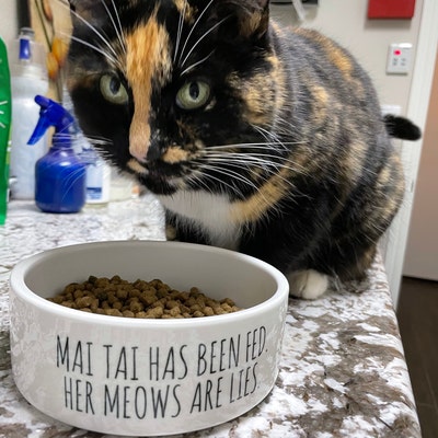 Funny Cat Food Bowl, Ceramic Pet Bowl - Etsy