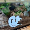 Customizable Name Ball Python Snake Vinyl Decal READ DESCRIPTION - Etsy