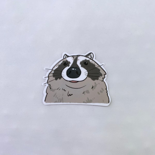 Raccoon Close up | Funny Sticker | Raccoon Sticker | Gifts Under 10 ...