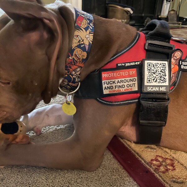 Rick Roll QR Code Meme Funny PVC Morale Patch - Etsy