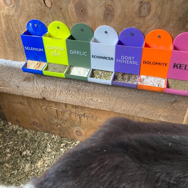 Chicken Oyster Shell/grit Feeder – 3D Printed, Mess-free Design for ...