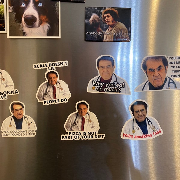 Funny Cats Magnets, Cat Faces, Funny Magnets, Memes Magnets, Waterproof ...