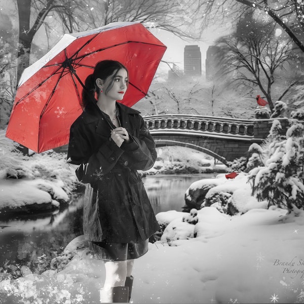 Red Cardinal Png Overlay, Winter Bird Clip Art, Christmas Bird Overlays ...