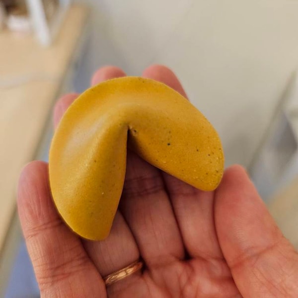 Ceramic Magnet, Ceramic Fruit, Food Magnet, Clay Magnets, Fridge ...