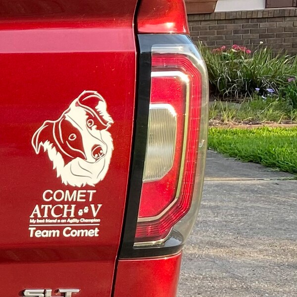 PACH Sticker - 2 Color: Dog Agility Vinyl Sticker. Customization ...