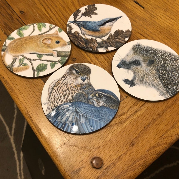 CARD Merlin Falcons Cornish Artist Red 67 Wildlife Art Bird of Prey ...