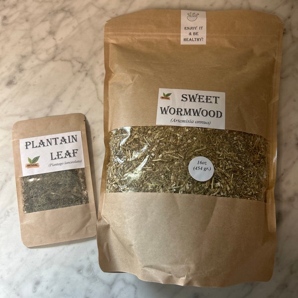 Artemisia Annua Tea | Sweet Wormwood | Sweet Annie | Qinghaosu Herb ...