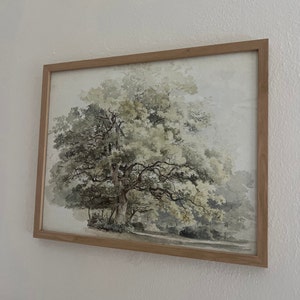 Pine Tree Branch Print, Vintage Tree Drawing Enhanced, Printable Tree ...