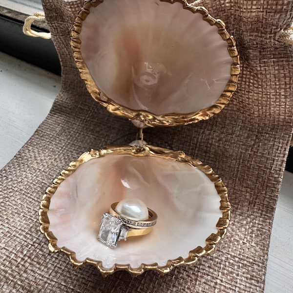 Real Seashell Ring Box for Beach Proposals | Various Cockle or Oyster ...