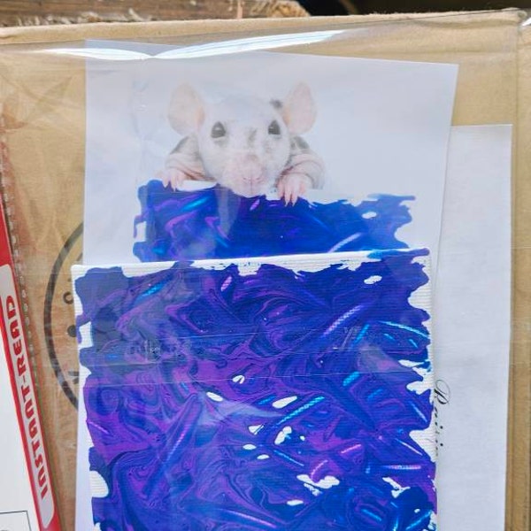 Rat Painting 4"x4" - Etsy