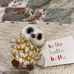 Ty Beanie Boos cancun,dexter and Pablo the Pink,brown,yellow Chihuahuas ...