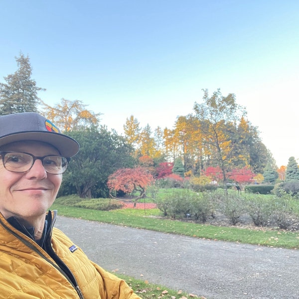 Pigeons Inspired Retro Sunset 3" Embroidered Patch - Pigeons Playing ...