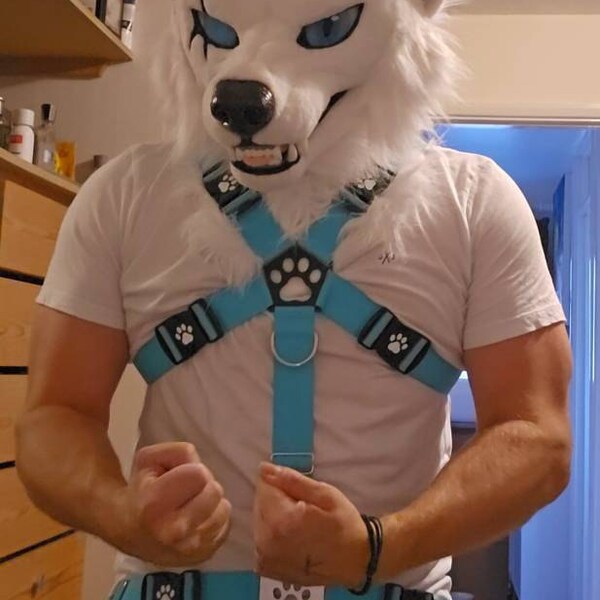 Standard Harness With Leg-straps | Furry Harness Fursuit Harness - Etsy