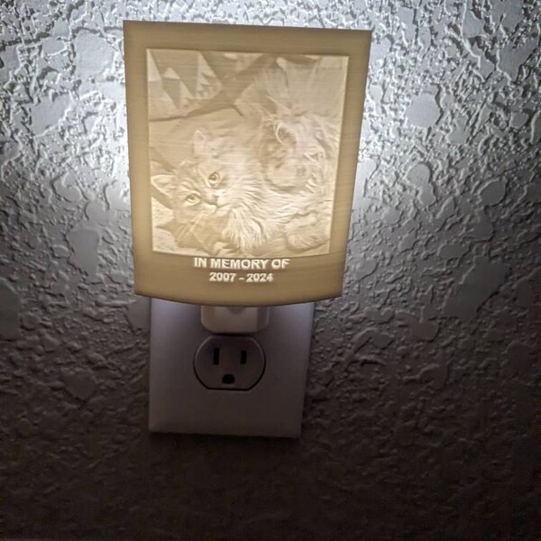 3D Printed Pet Photo LED Night Light, Personalized Pet Sympathy Gift ...