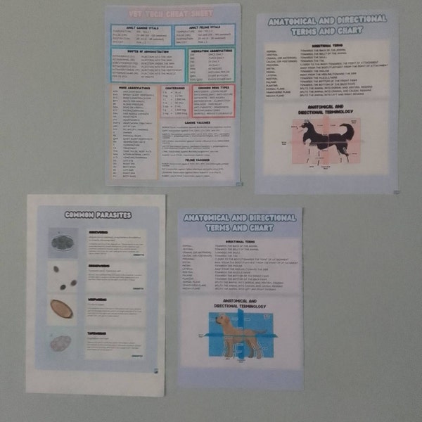 DIGITAL DOWNLOAD - Updated Vet Tech Cheat Sheet! Common Terms, Vitals ...