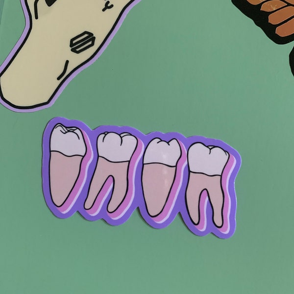 Anatomical Tooth Sticker Tooth Sticker Dental Sticker Dental Hygiene ...