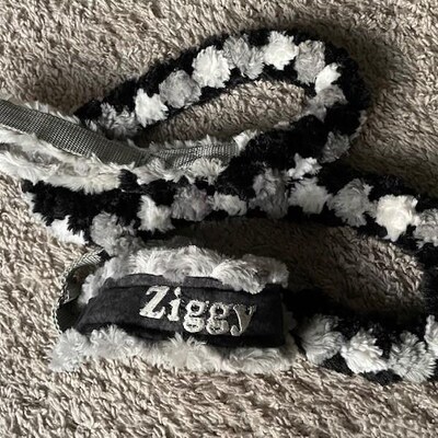 Bold and Bright Ring Lead With Tug Agility Lead-barn Hunt Lead Fyball ...