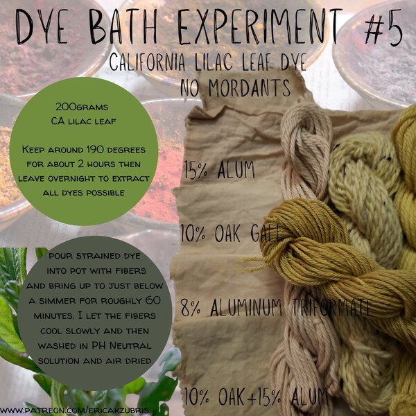 Oak Gallnut Extract - Tannin - Natural Dyes - Quercus Infectoria ...