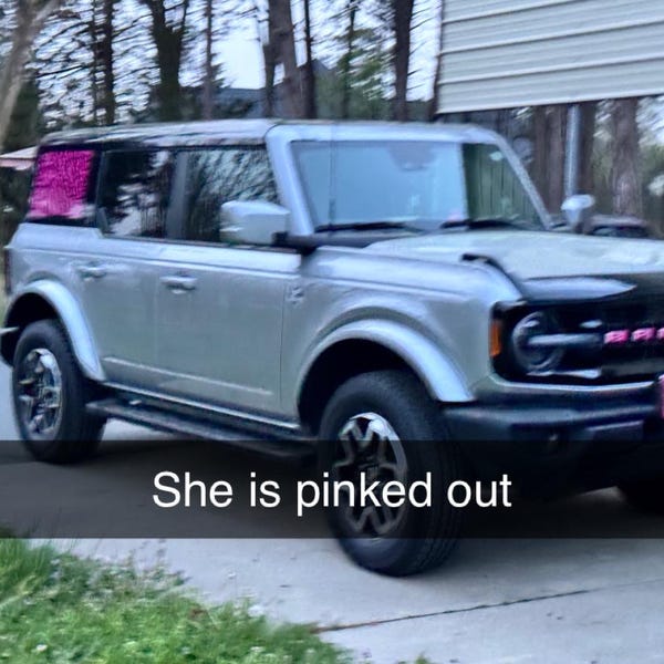 Leopard Cheetah Print Rear Window Decals Fit Ford Bronco 6g Hardtop ...