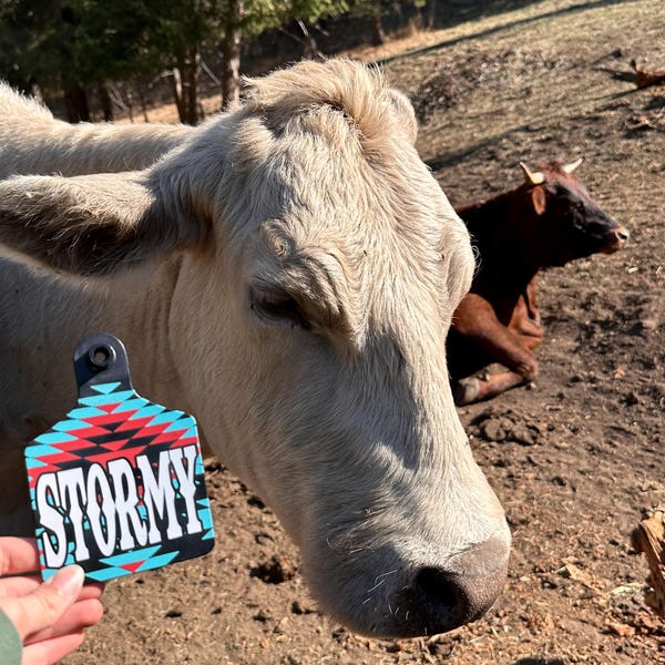 Custom Cattle Ear Tag - UV Printed Full Color Weatherproof ...