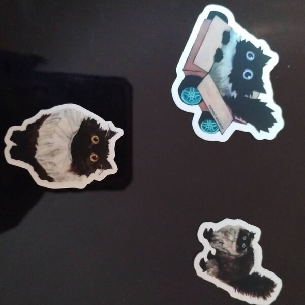 Raining Cats 12x20 Print, Internet Cats, Smudge, Lil Bub, Grumpy Cat ...