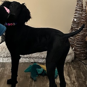 Silicone Focal Bead Grab Bag Focal Bead Mix, Assorted Silicone Focal ...