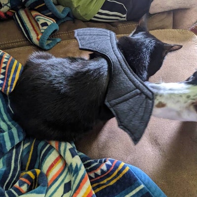 Cat Bat Wing Costume Cat Apparel / Clothing Pet - Etsy