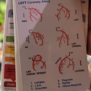 SEPSIS Badge Buddy for Nurses, In-hospital, Emergency Care, Paramedic ...