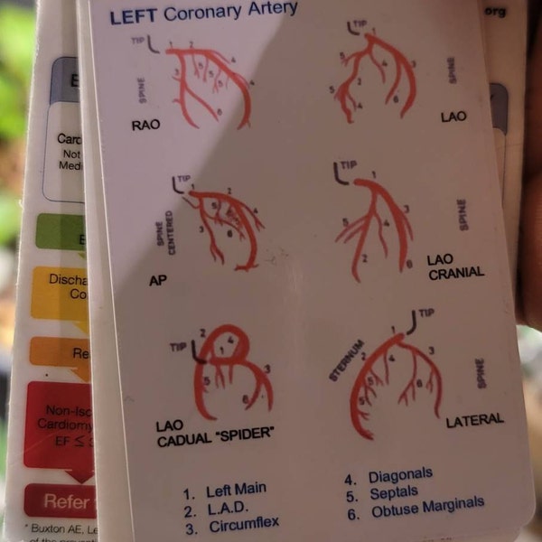 FAST-ED Stroke Badge Buddy, Paramedic, Nurse, Doctor, EMS, Scoring Tool ...