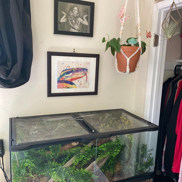 Watercolour on Wood Rainbow Ball Python Snake Print - Etsy