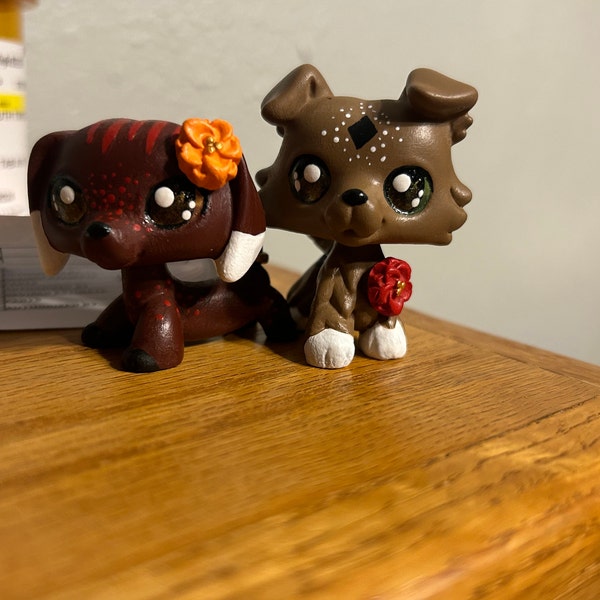 Lps Littlest Pet Shop OOAK Custom Amity From the Owl House Inspired ...