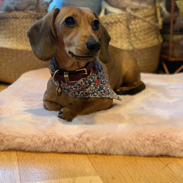 Liberty Baby Boy Bib Set | Two Baby Bandanas | Boys Dribble Bib | Baby ...