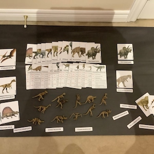 Wild Animals Montessori 3 Part Cards Montessori Home School Educational ...