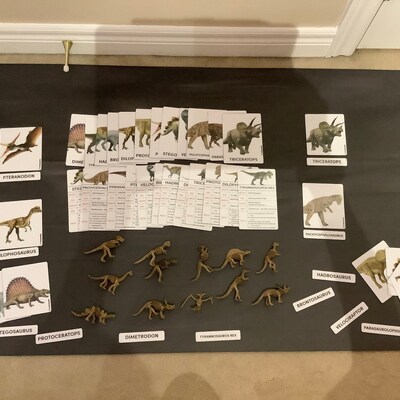 Wild Animals Montessori 3 Part Cards Montessori Home School Educational ...