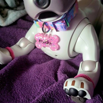 Vinyl Aibo ERS-1000 Head Decal Stickers - Etsy