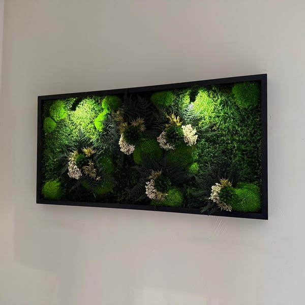 Beautiful Preserved Moss Artwork With LED Lights Live Moss LED Wall Art ...
