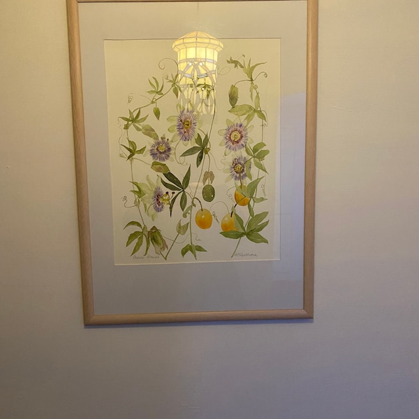 Pink Flower Border Original Watercolour Painting by Penny Silverthorne ...