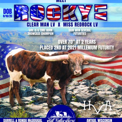 Zoomies, Cricut Svg Files, Png Files, Dog Printable, Instant Download ...