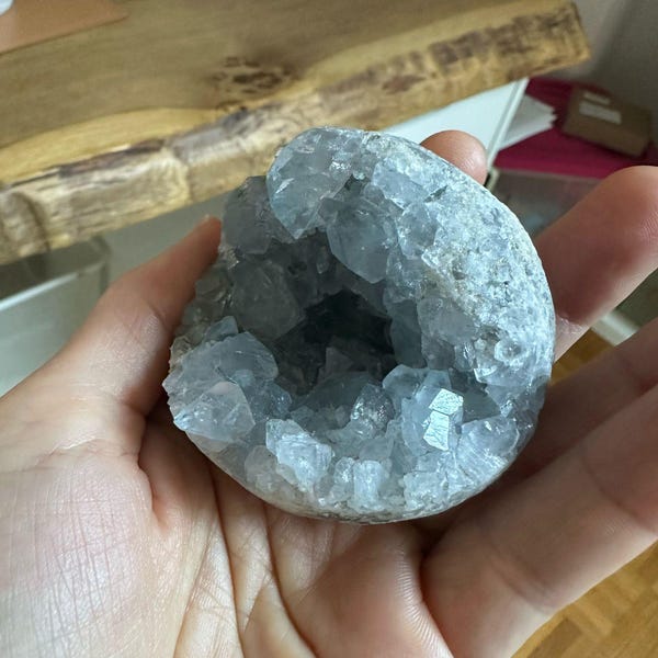 Natural Opalized Ammonite Specimen, Fossil Quartz Crystal, Mineral ...