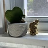Saint Joseph Statue Home Selling Kit Saint Joseph Real Estate ...