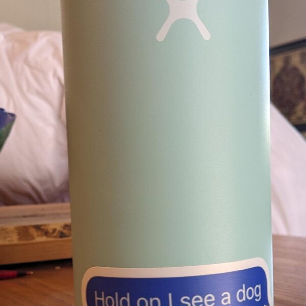 Monarch Butterfly Mini Pack, Vinyl Matte - Etsy