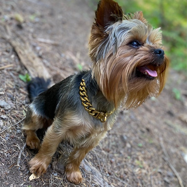 15mm Wide Diamond Cuban Link Gold Dog Chain Collar for French Bulldog ...