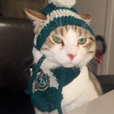 Flower Sun Hat 2 Different Styles Purple and White cat Accessories ...