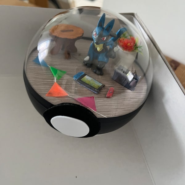 Custom Pokemon Terrarium - Choose Your Pokemon, Habitat and Pokeball ...