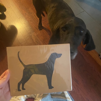 Basenji Handmade Original Cut Paper Collage Dog Art All Colors ...