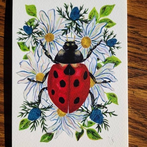Ladybug Prints for Decor, Gifts Items, Kitchen - Etsy