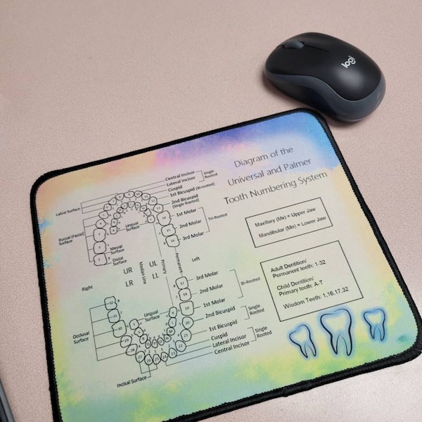 Tooth Numbering Diagram Mouse Pad for Dentist Offices & Students. Tooth ...