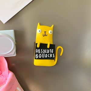 Absolute Bollocks Fridge Magnet Sweary Rainbow Cats Offensive Gift ...