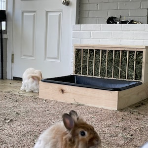 Rabbit Bunny Bowl Feeding Stand | Etsy